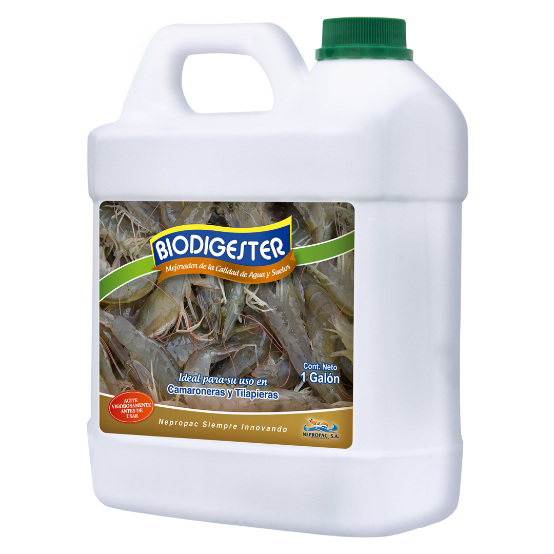 Biodigester – México – NEPROPAC